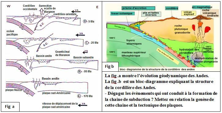 Les Phénomènes Géologiques Accompagnant La Formation Des Chaînes De