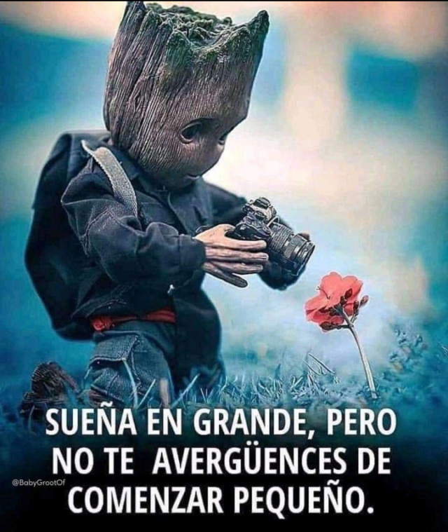 Sueña en grande Sueña en grande